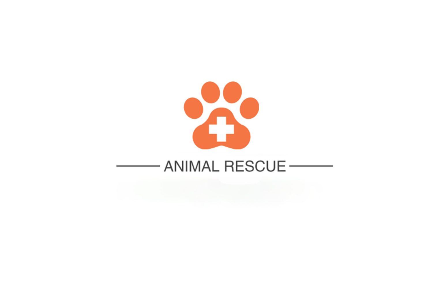 Strategic Global Cat Litter Supplier | Premium OEM & ODM Solutions ...